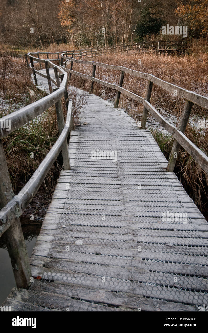 Wooden walkway in countryside Stock Photo - Alamy