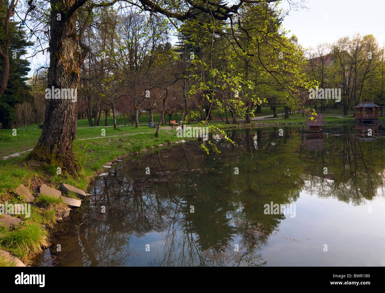 Beautiful spring lake in the park Stock Photo - Alamy