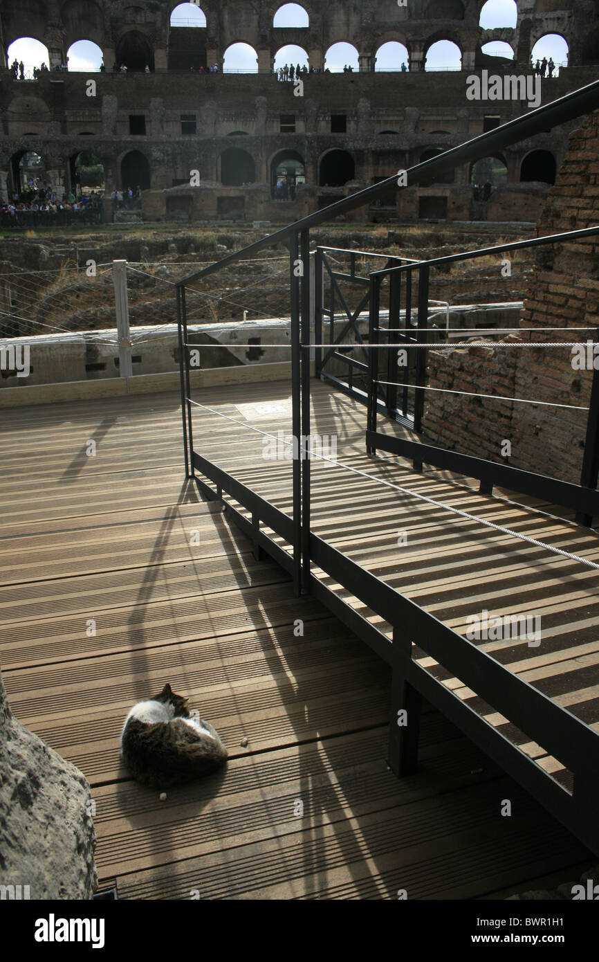 people in the colosseum amphitheatre wall facade, rome Stock Photo - Alamy