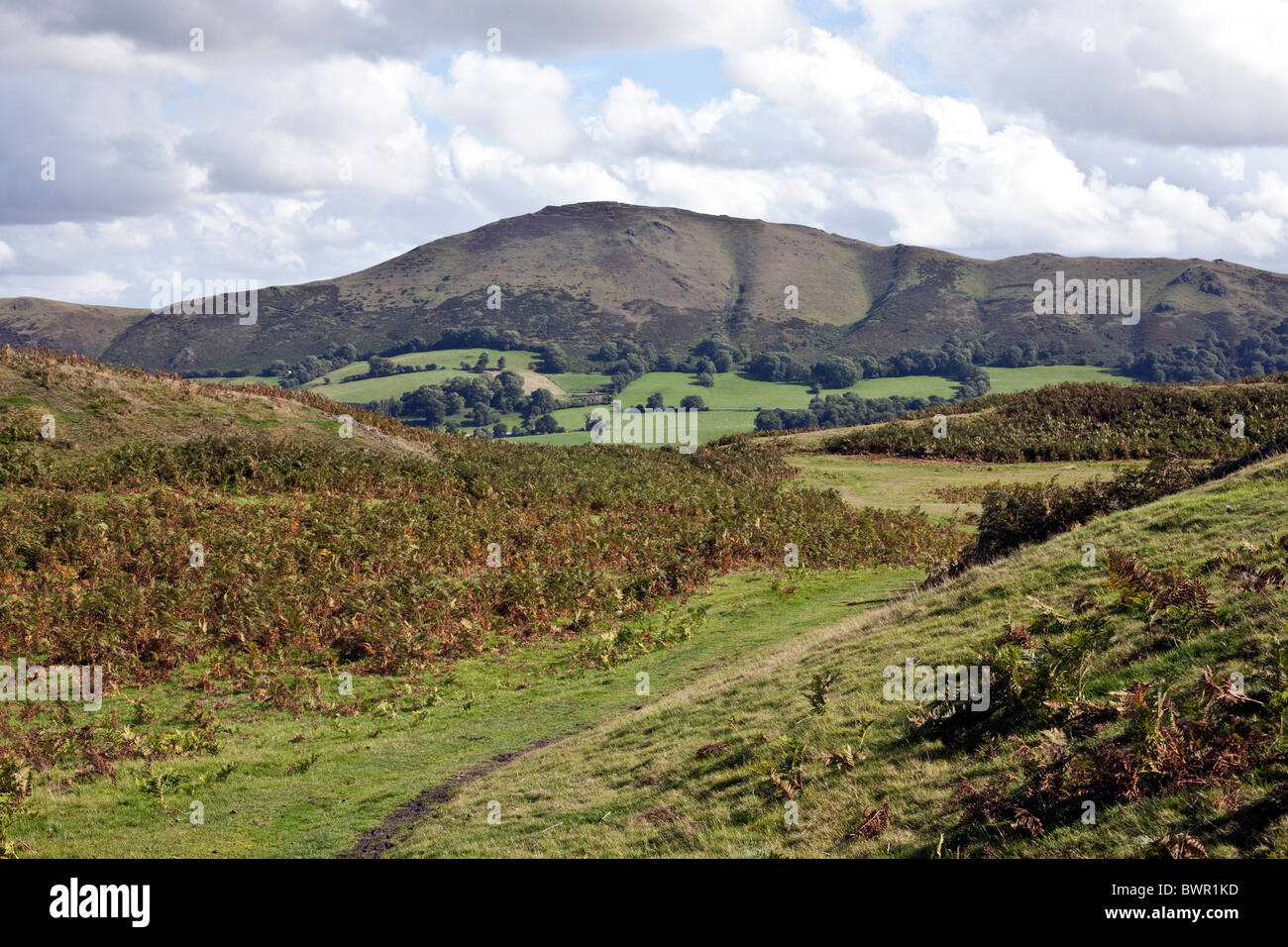 Long mynd hi-res stock photography and images - Alamy