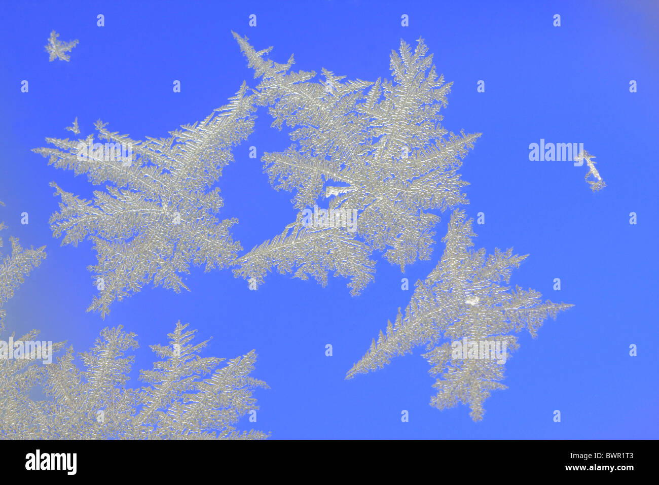 frost pattern detail close-up frosted frozen cold ice crystal crystals ...