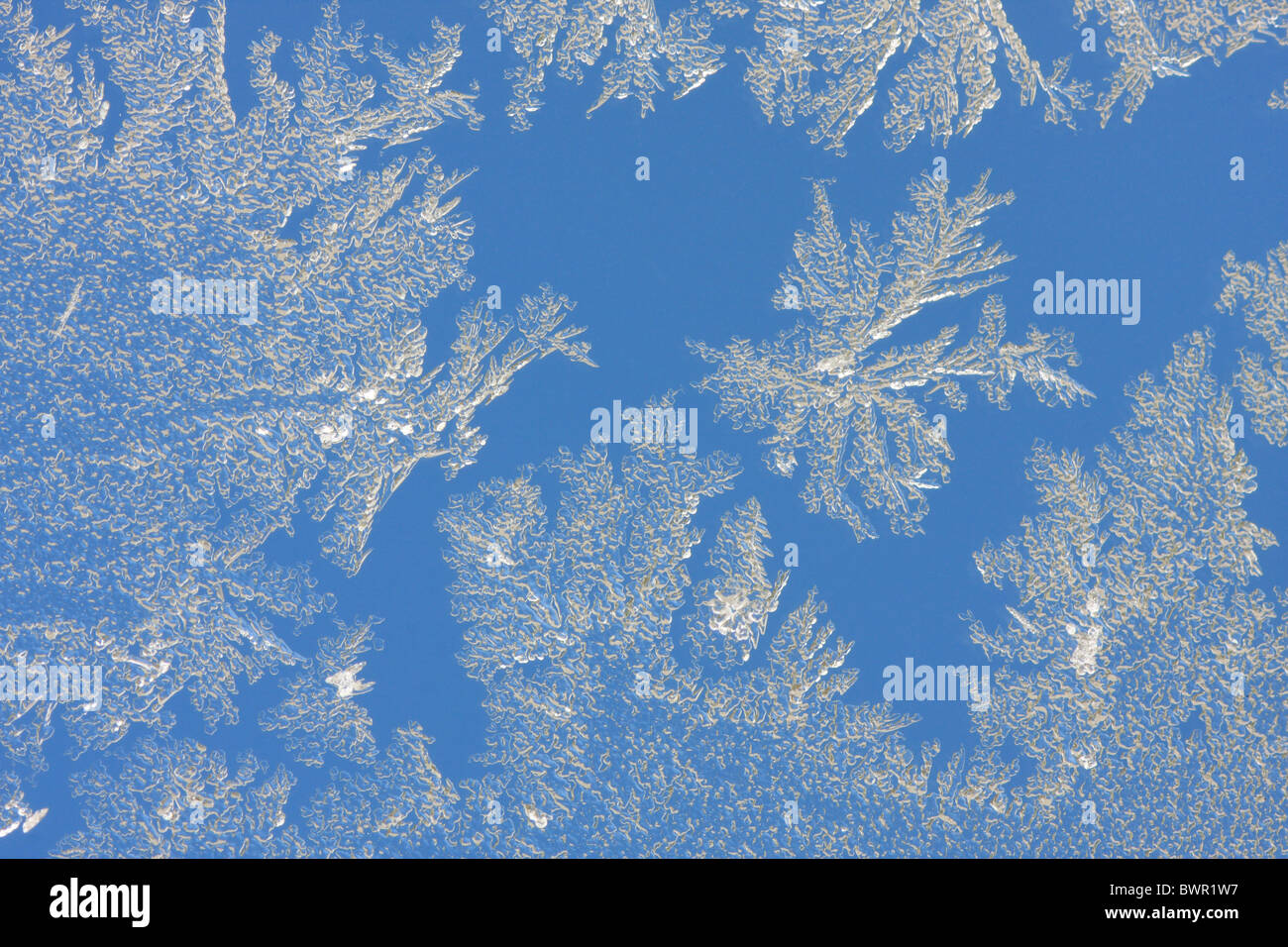 frost pattern detail close-up frosted frozen cold ice crystal crystals ...