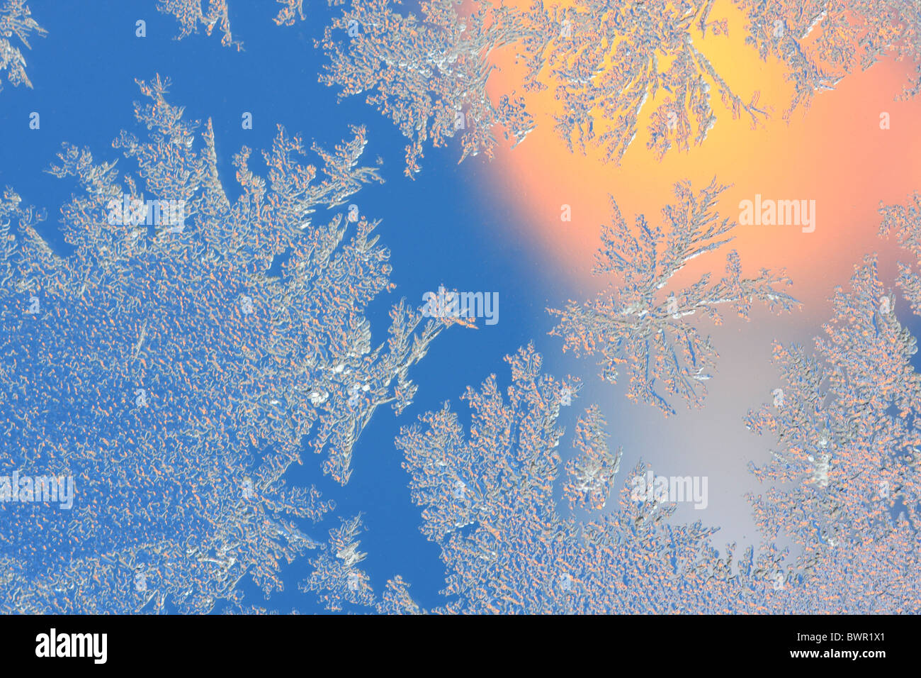 frost pattern detail close-up frosted frozen cold ice crystal crystals ...