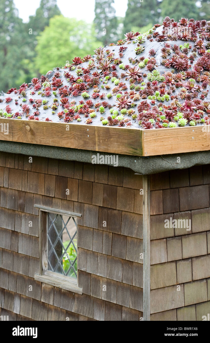 Sedum roof shed hi-res stock photography and images - Alamy