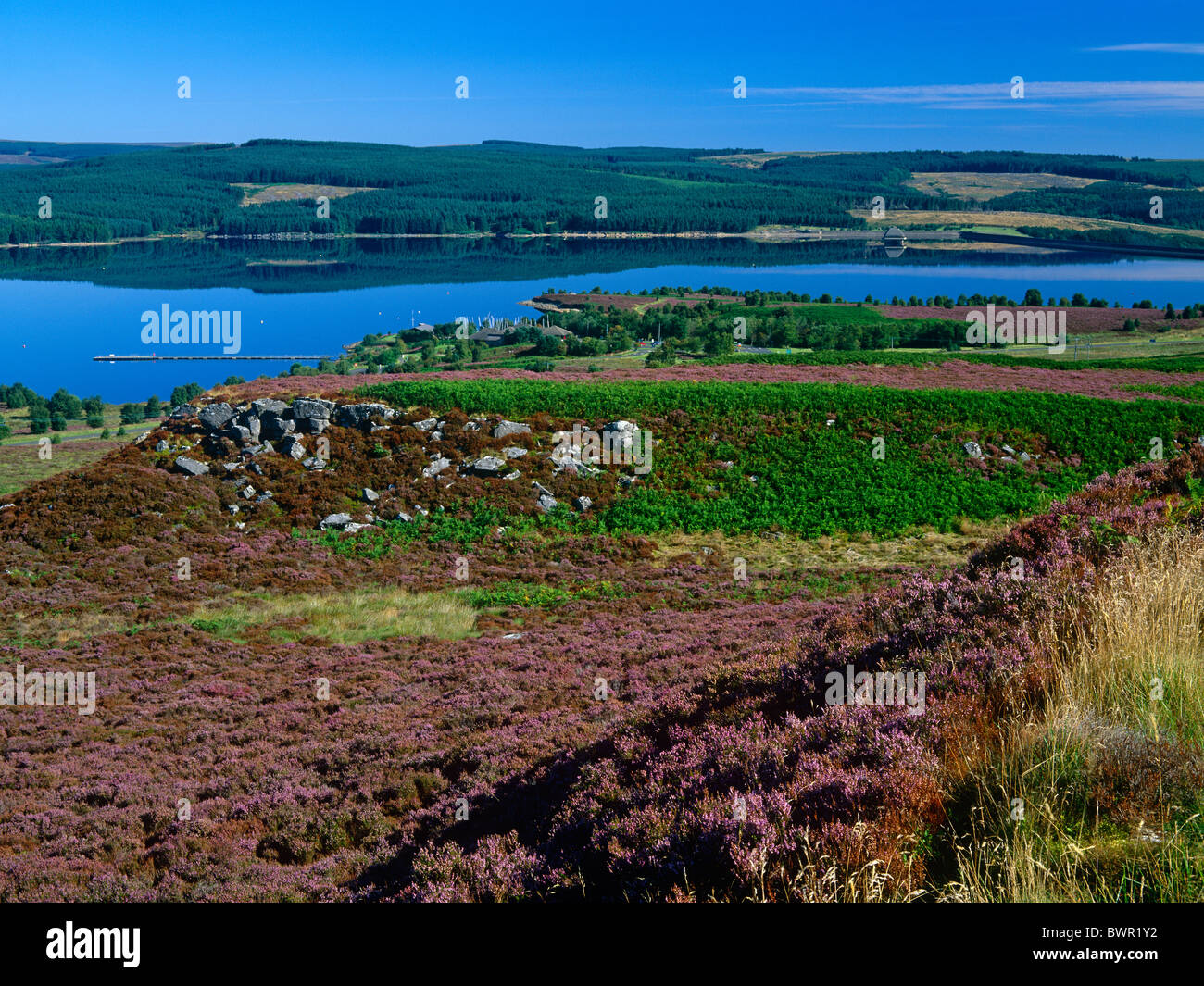A view in summer of Kielder Water and Kielder Forest Park in ...