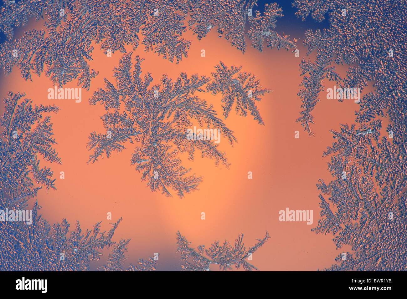 frost pattern detail close-up frosted frozen cold ice crystal crystals ...