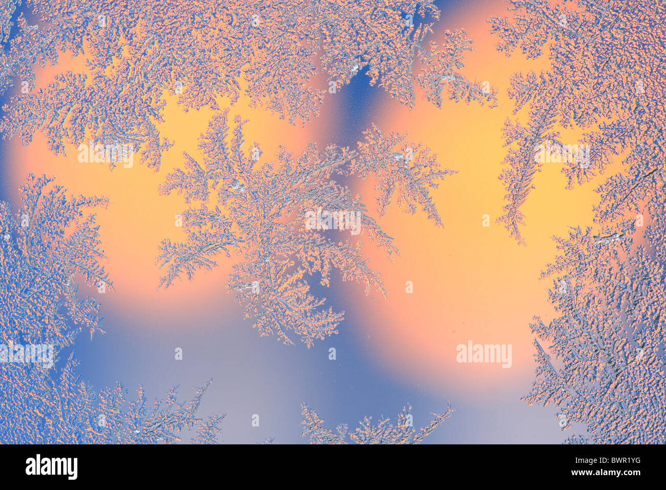 10841414 hi-res stock photography and images - Alamy