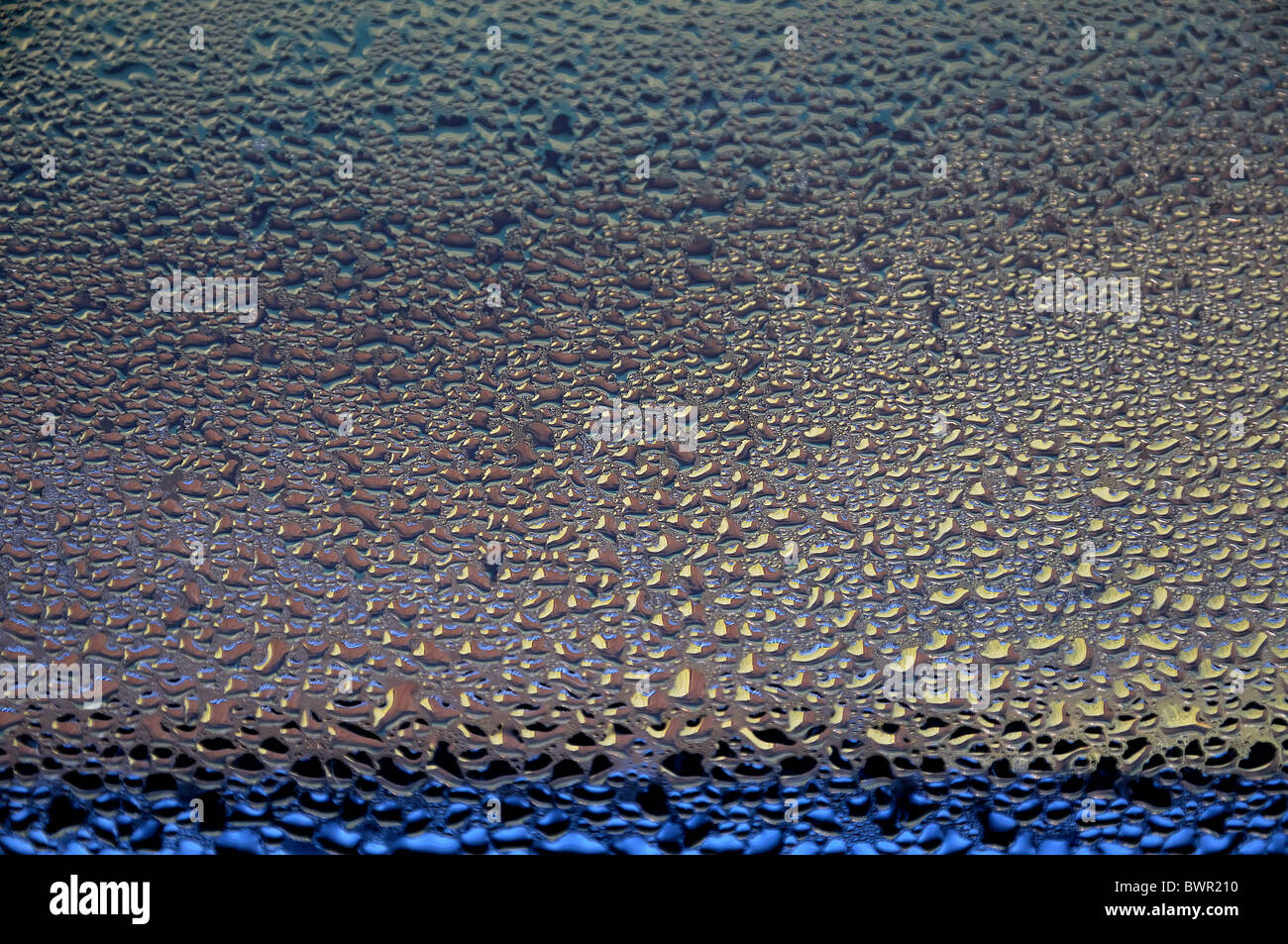 condensation on window Stock Photo - Alamy