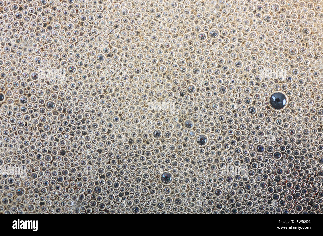 Cola Studio frothy froth detail close-up liquid beverage beverages ...