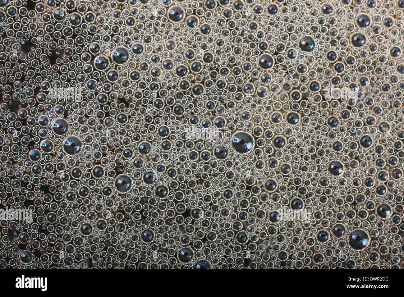 Cola Studio frothy froth detail close-up liquid beverage beverages ...