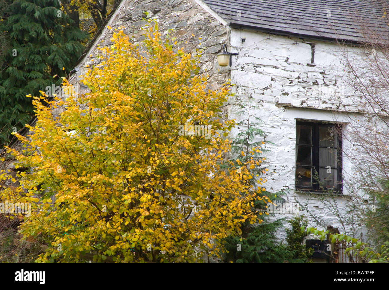 Watendlath House High Resolution Stock Photography and Images - Alamy