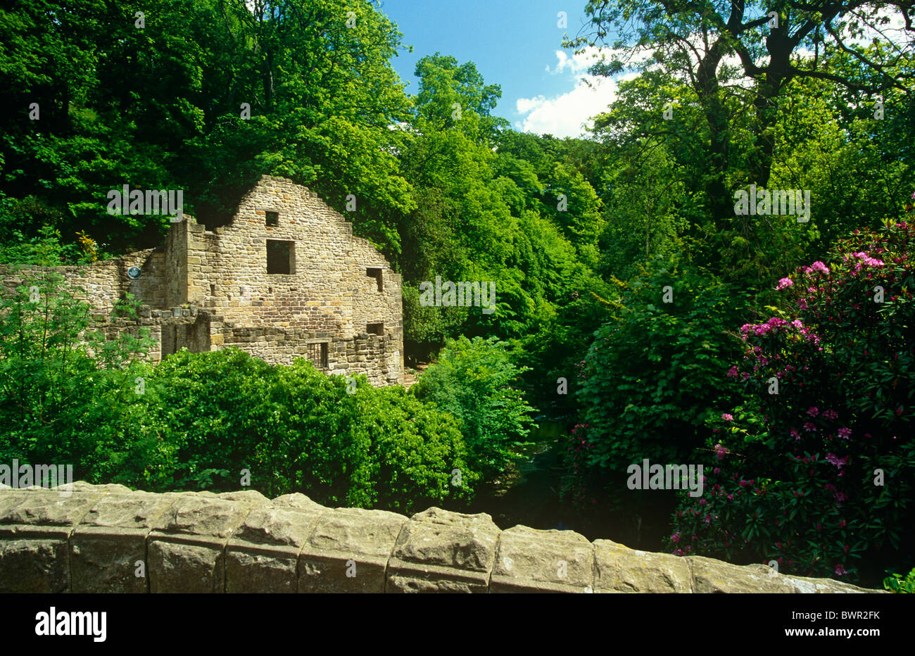 Jesmond Dene, Newcastle upon Tyne, Tyne and Wear, England Stock Photo ...