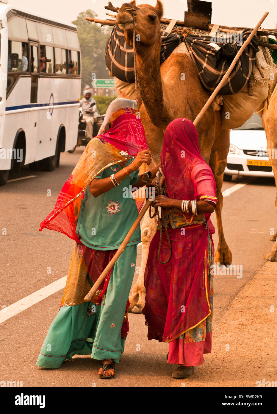 Camel train on the Jaipur to Agra road, Rajasthan, India Stock Photo ...