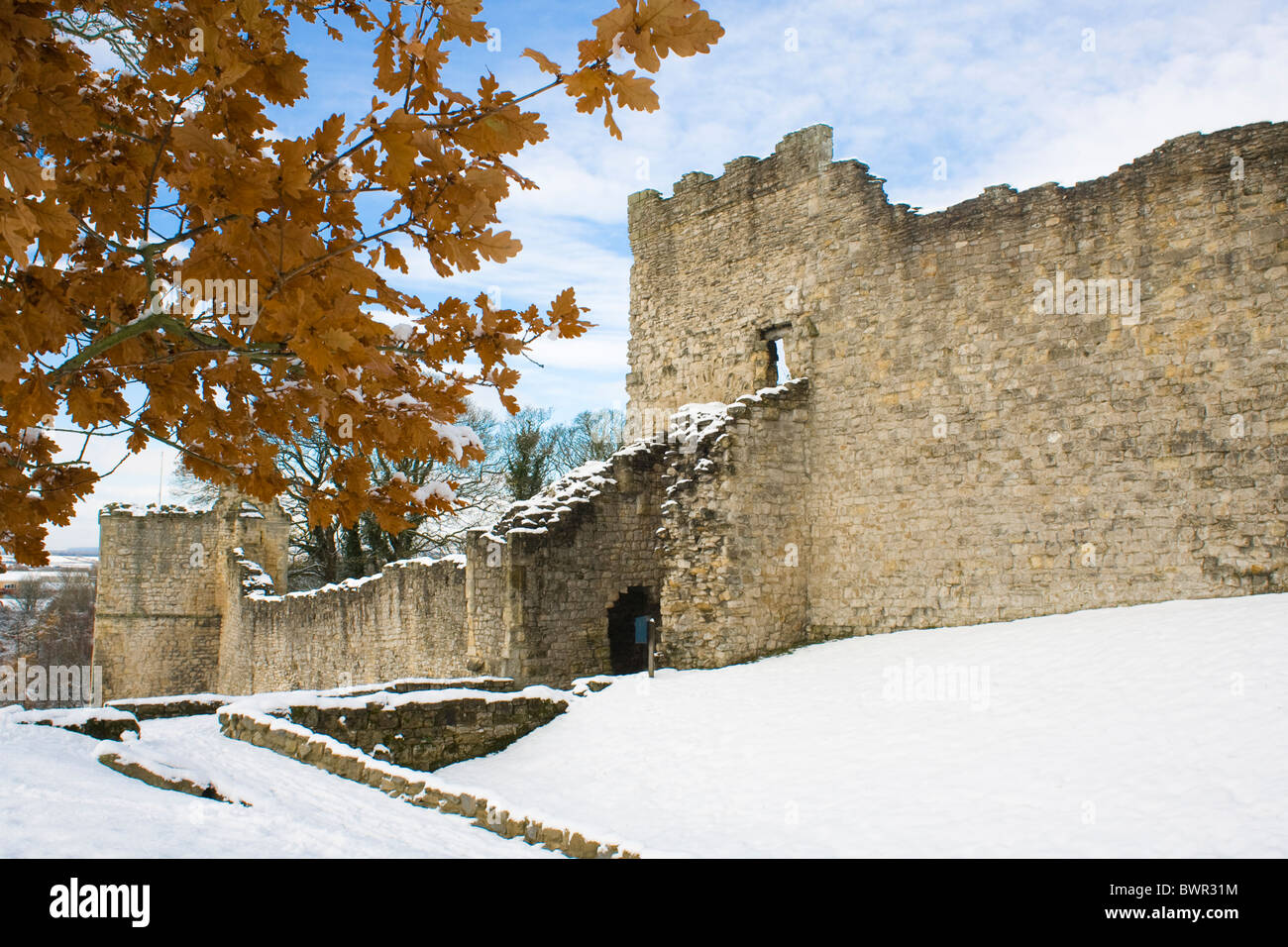 Richard pickering hi-res stock photography and images - Alamy