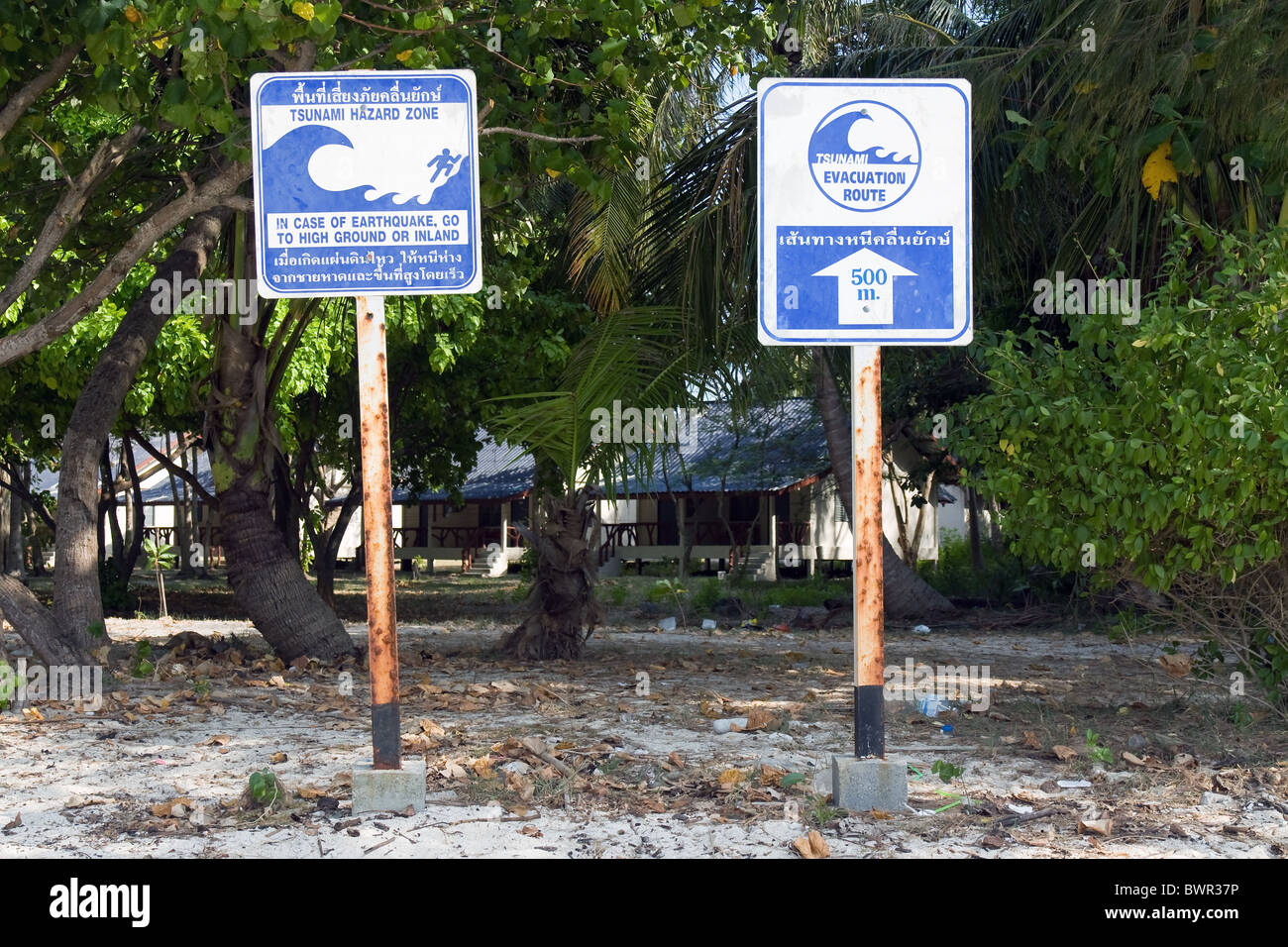 Warning sign Tsunami Stock Photo - Alamy