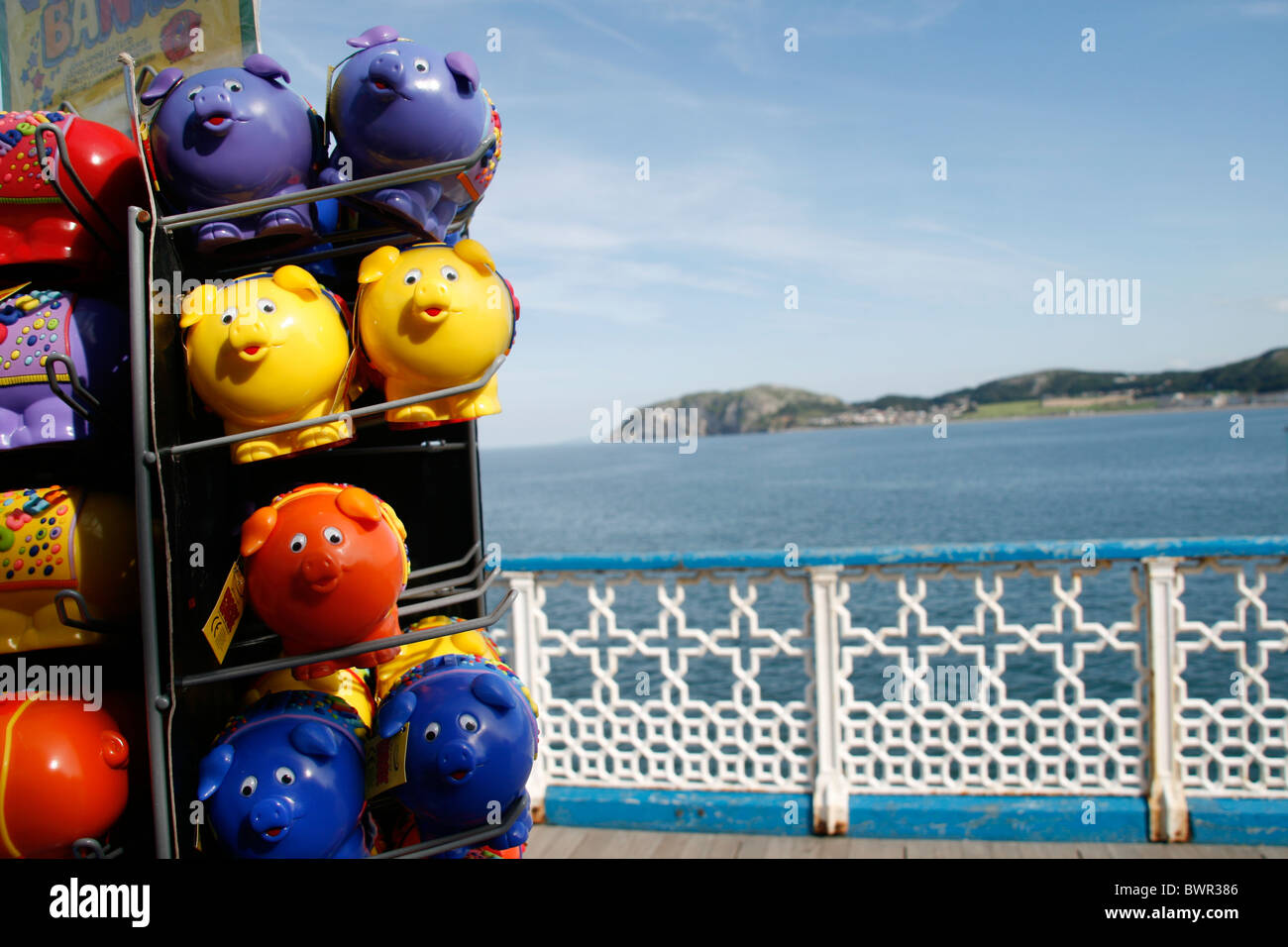 plastic pigs models piggy bank toys at souvenir gift shop on llandudno ...