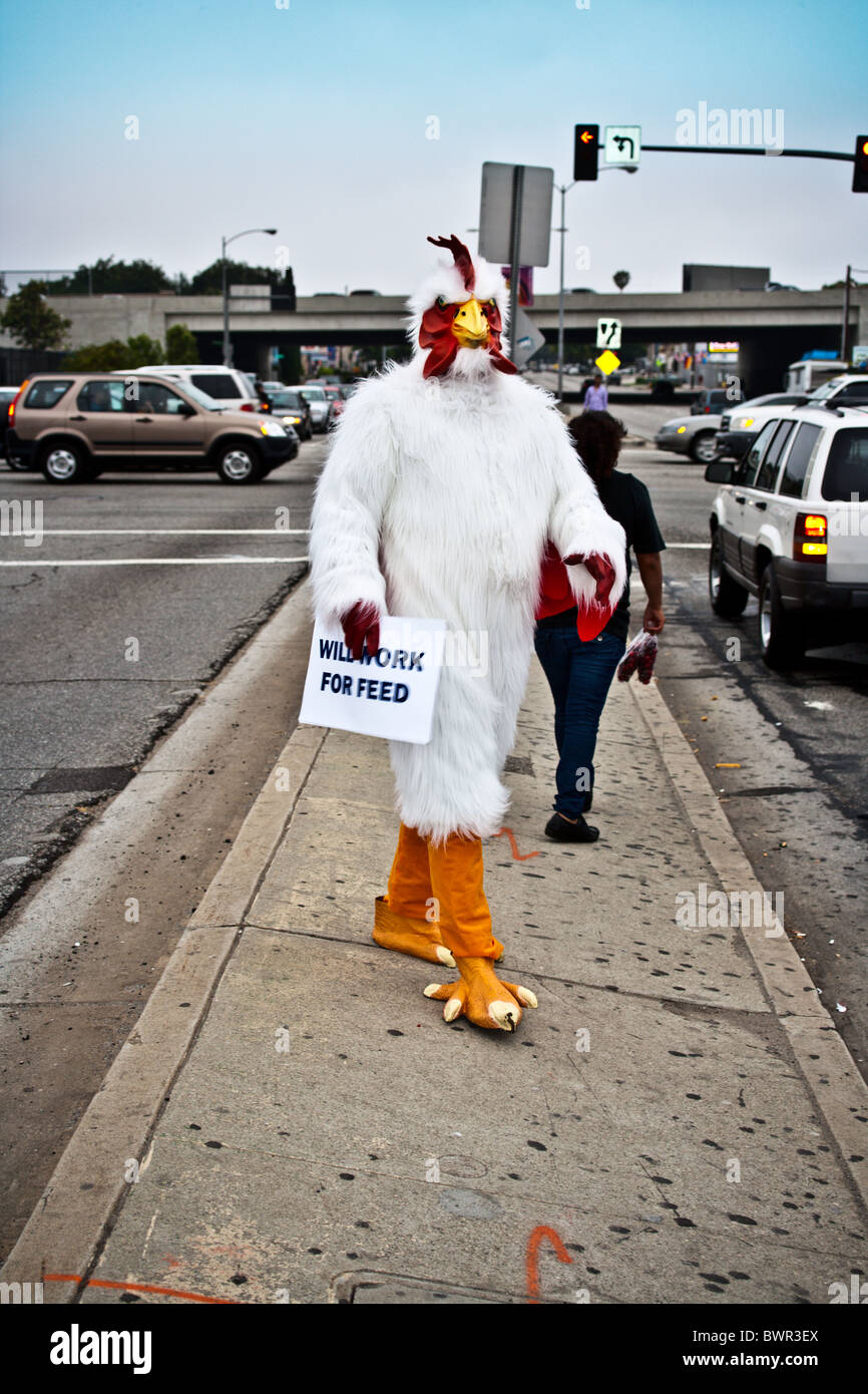 Feed and seed sign hi-res stock photography and images - Alamy