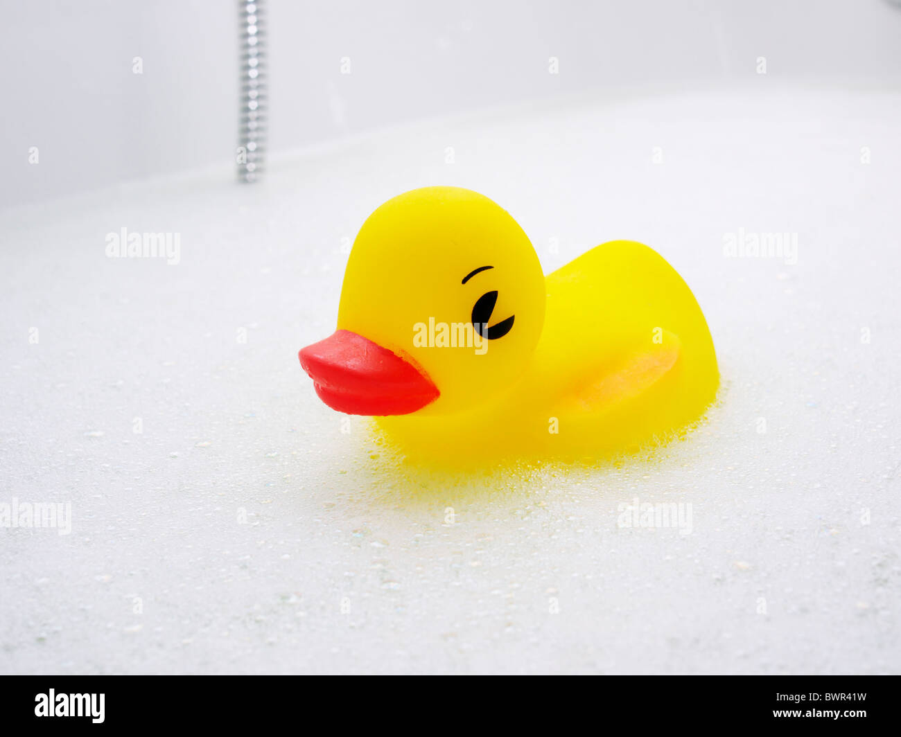 Bathing duck in bubble bath Stock Photo - Alamy