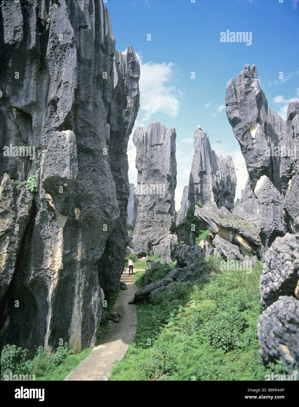 China Asia stone forest Shilin County Yunnan Province southeast of ...