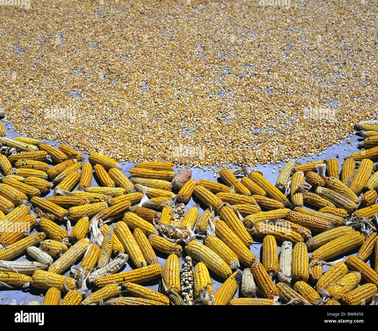 10841723 hi-res stock photography and images - Alamy