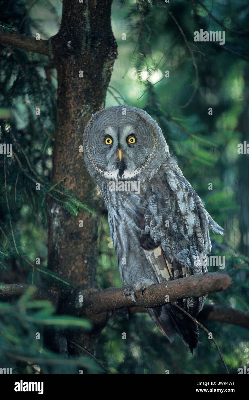 10833869 hi-res stock photography and images - Alamy