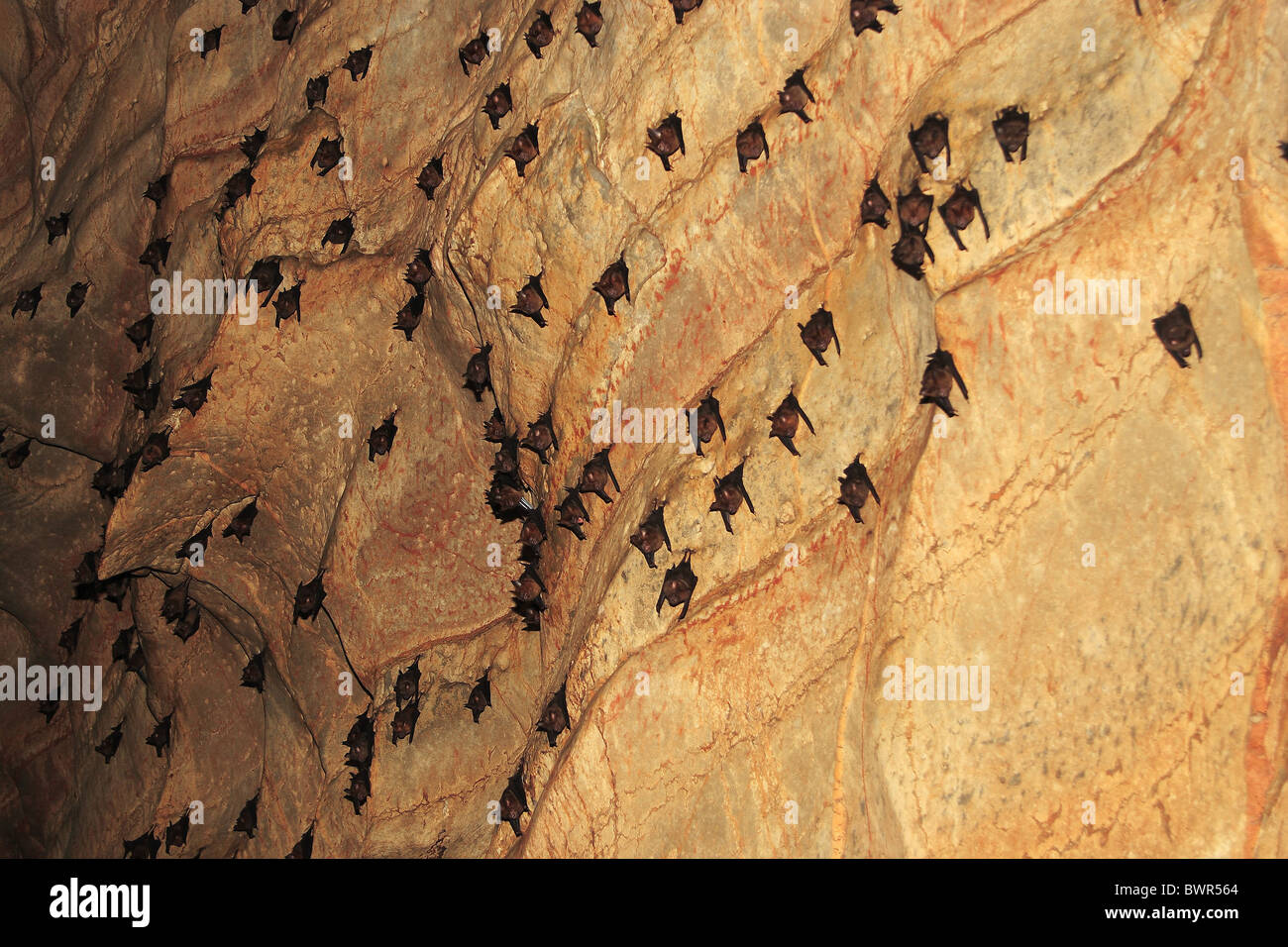 Southeast Asia Thailand Asia Ko Lanta Island Cave Khao Mai Kaew ...