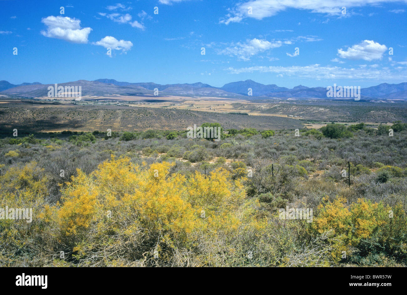 South Africa Western Cape Province Little Karoo semi desert near ...