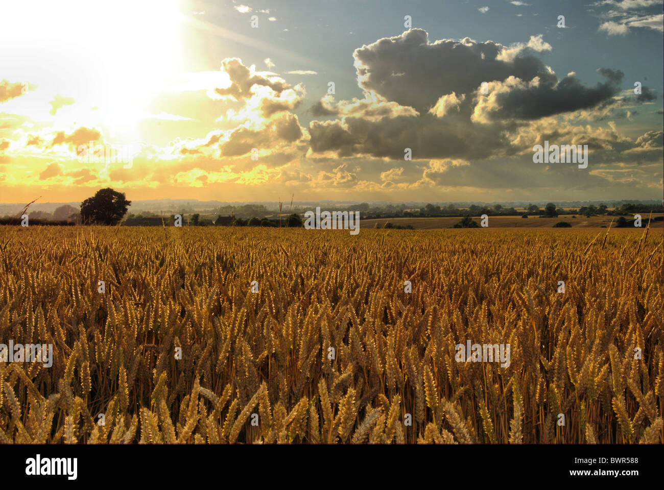 Harvestime hi-res stock photography and images - Alamy