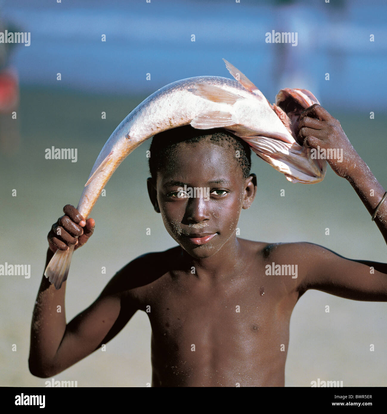 Gambia Bakau young boy beach carrying fish on his head African boy ...