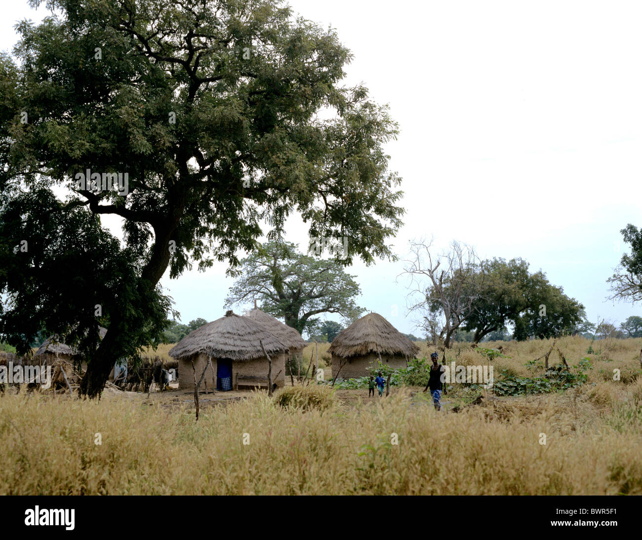 Gambia village along Senegambia Highway close senegalese border huts ...
