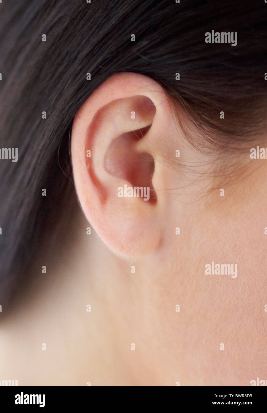 Ear lobe hi-res stock photography and images - Alamy