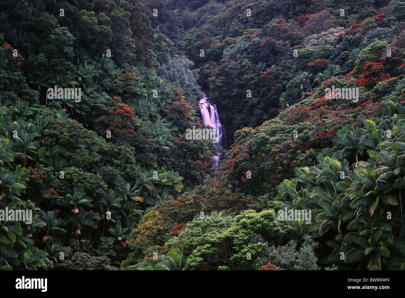 USA America United States North America Hawaii State Umauma falls Big ...