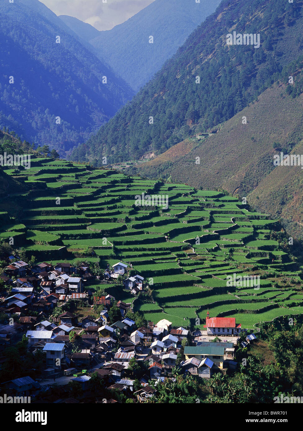 Philippines Banaue Rice Terraces Luzon Island Cordillera District Near ...
