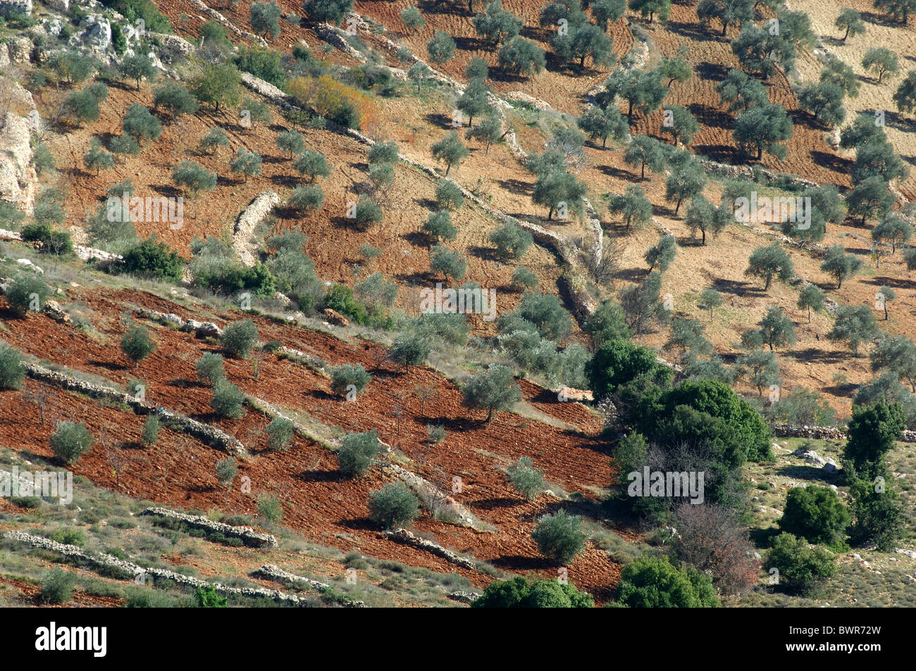 Jordan Hot Springs Waterfall Main Ma'in Hot Springs Janna Spa Resort ...