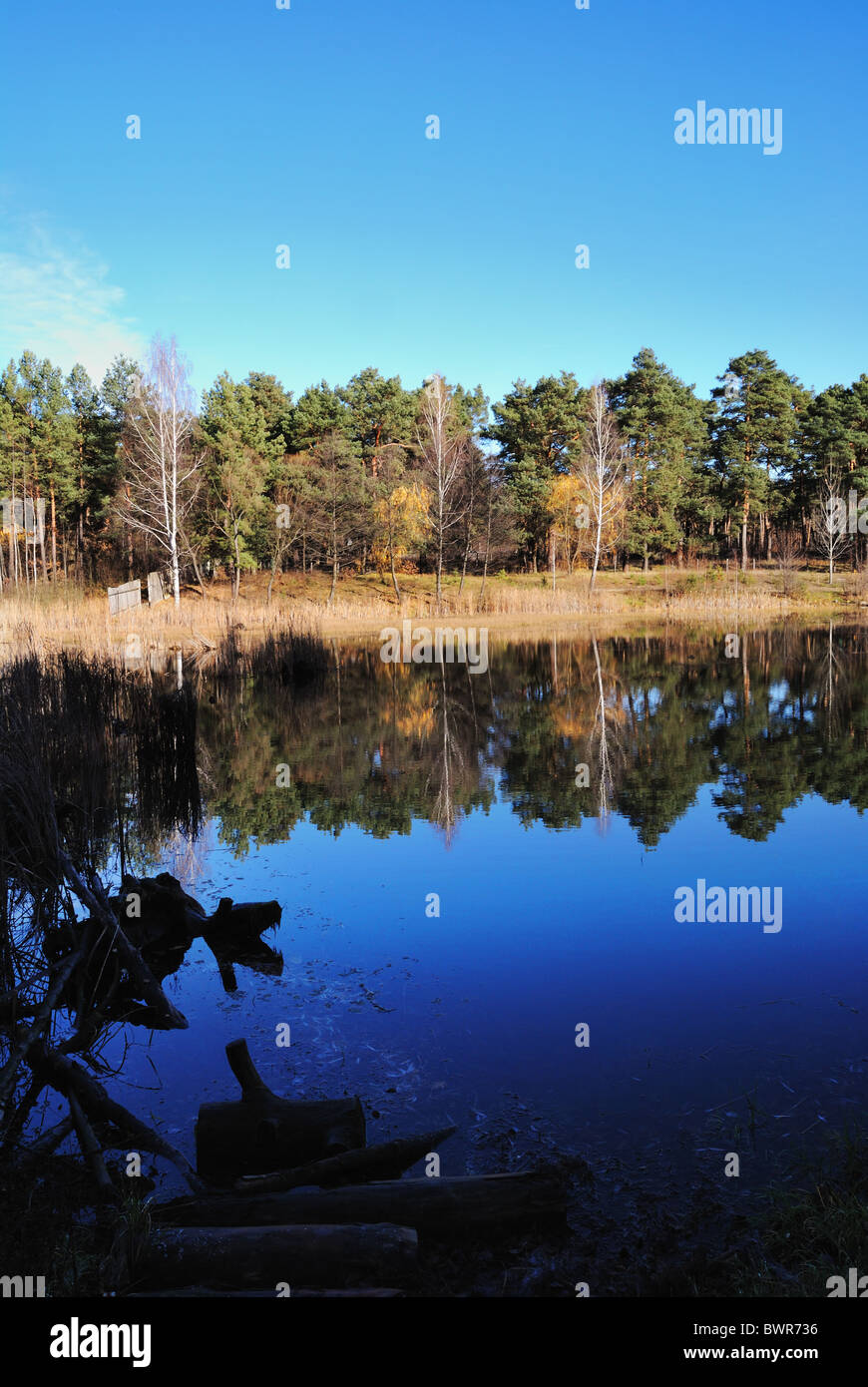 Autumn lake, Ukraine Stock Photo - Alamy