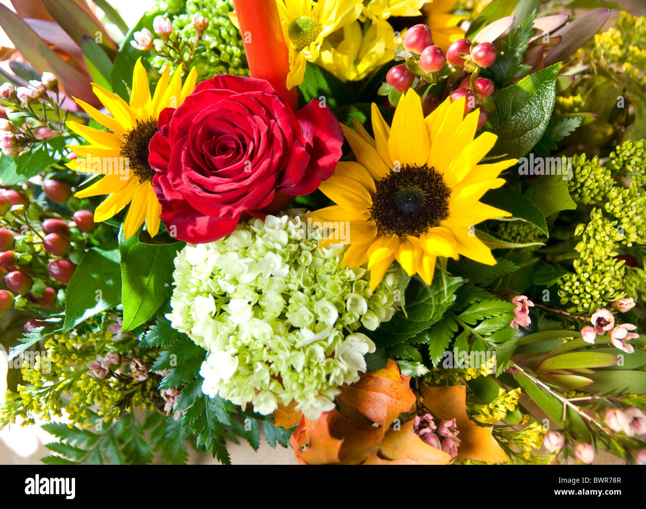 a fall bouquet of flowers Stock Photo - Alamy