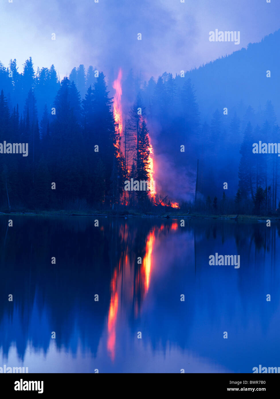 Yellowstone fire burning forest hi-res stock photography and images - Alamy