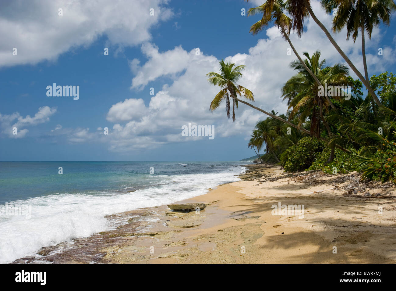Caribbean unspoiled beach hi-res stock photography and images - Alamy