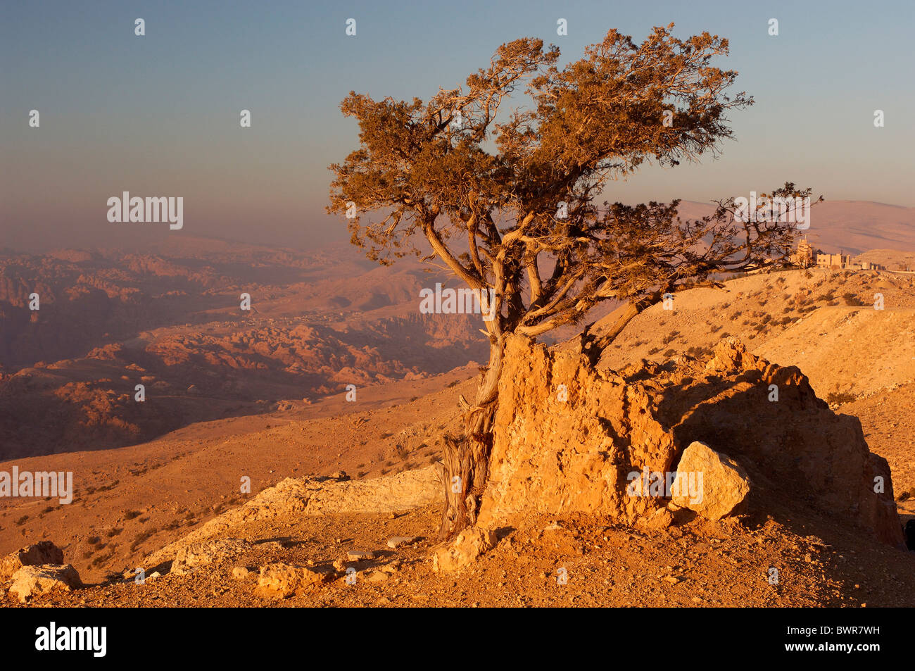 Jordan Petra mountains Middle East landscape desert highlands tree ...