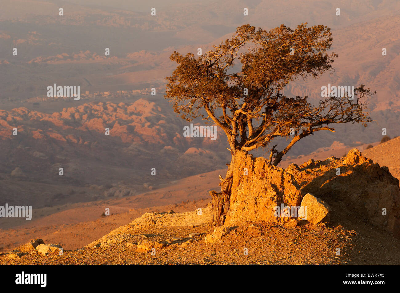 Jordan Petra mountains Middle East landscape desert highlands tree ...