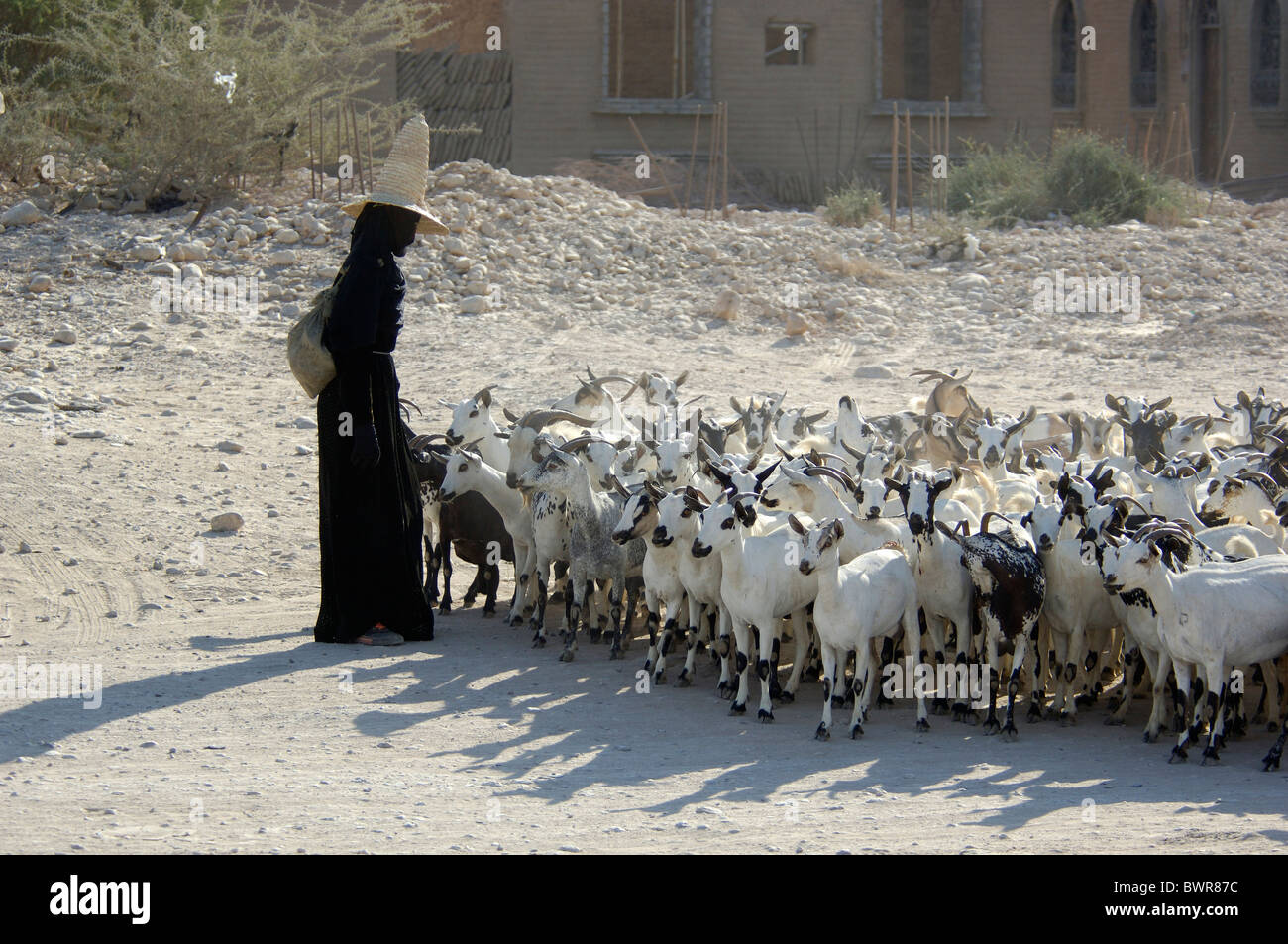 Yemen Traditional dressed woman near Seiyun Wadi Hadramaut Hadhramaut ...