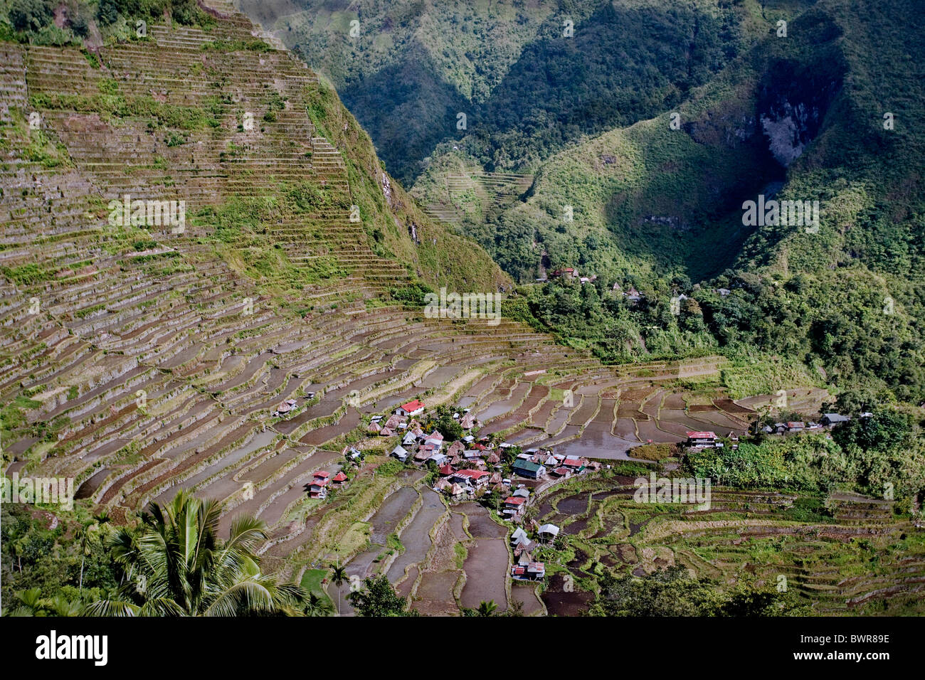 Philippines Banaue Rice Terraces Luzon Island Cordillera District Near ...