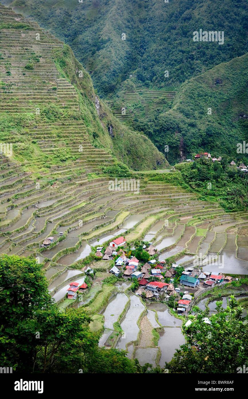 Philippines Banaue Rice Terraces Luzon Island Cordillera District Near ...