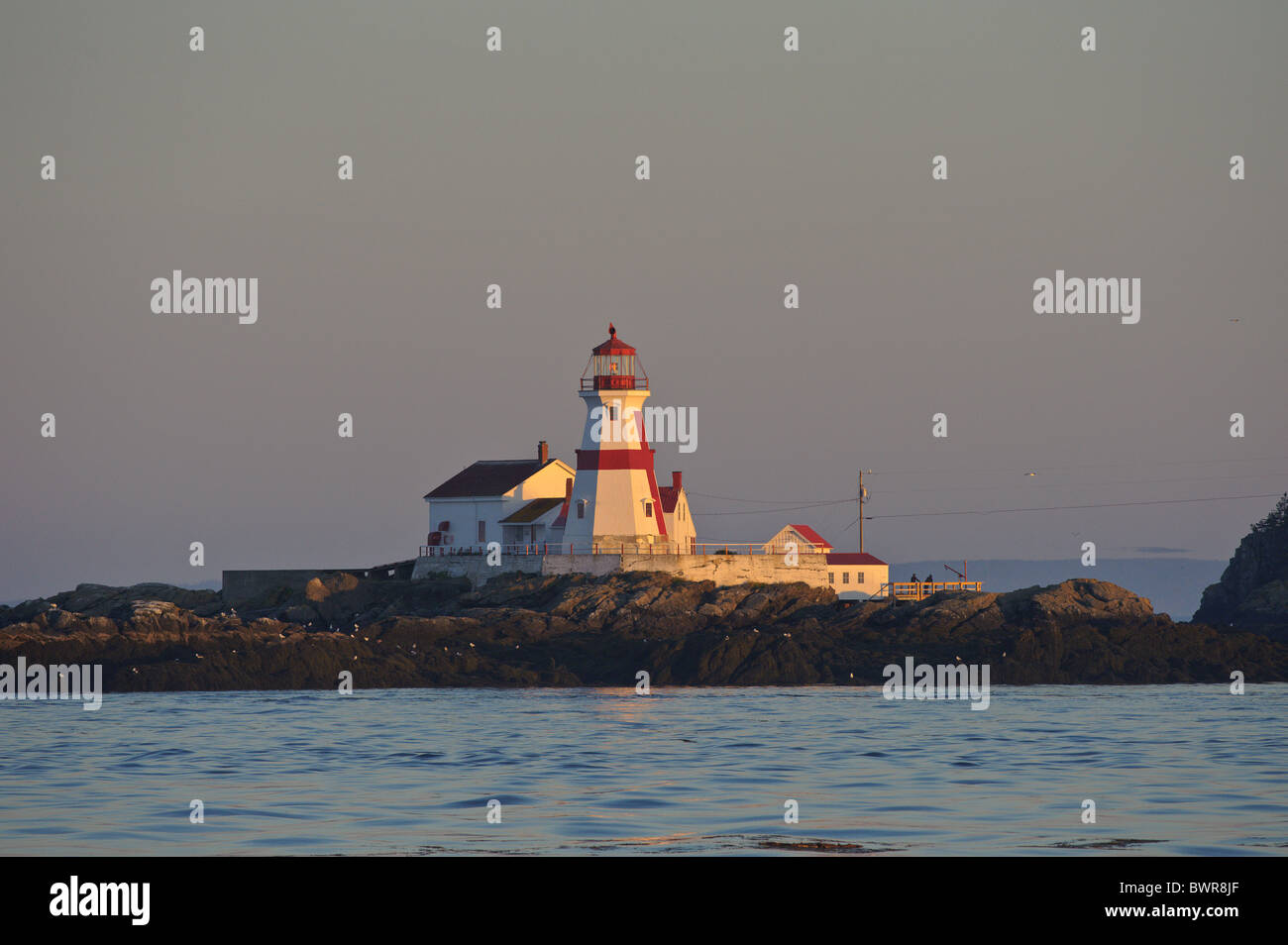 East Quoddy Lighthouse on Campobello Island Canada Stock Photo - Alamy