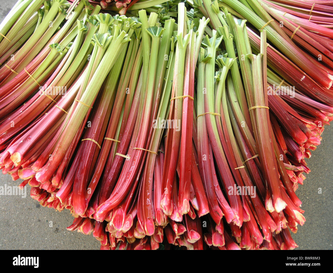 Rhubarb vegetable vegetables organic food fresh bunches Stock Photo - Alamy