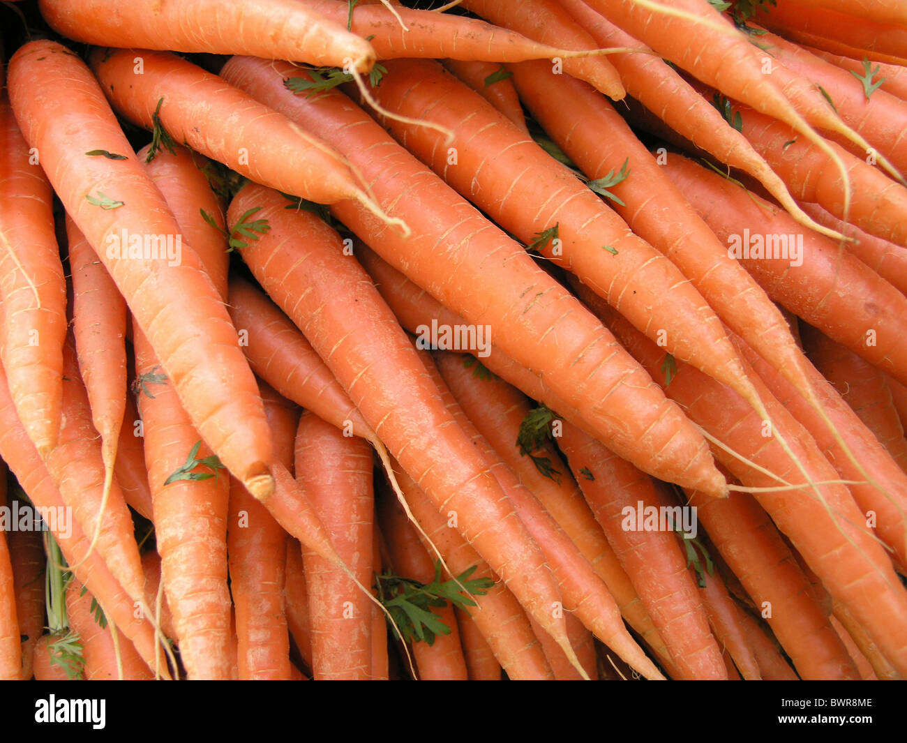 Carrot Carrots vegetable vegetables organic food fresh Stock Photo - Alamy