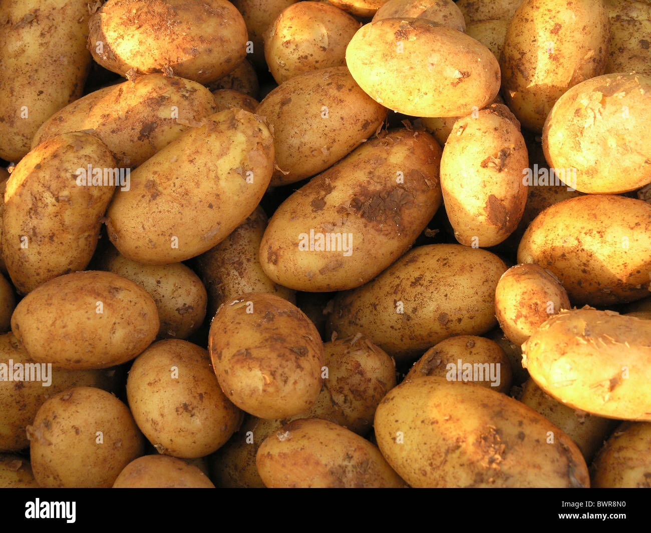potatoes potatoe vegetable vegetables organic food fresh Stock Photo ...