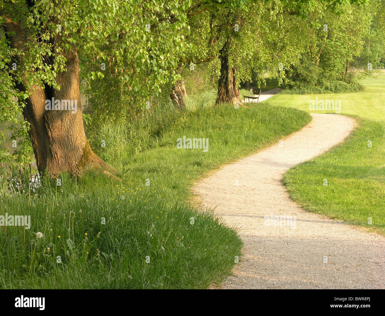 Switzerland Europe promenade way riverside shore river landscape bench ...