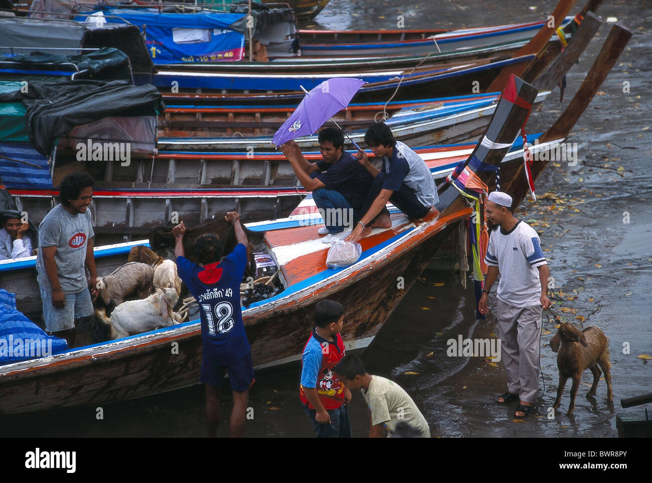 Goats by boat hi-res stock photography and images - Alamy