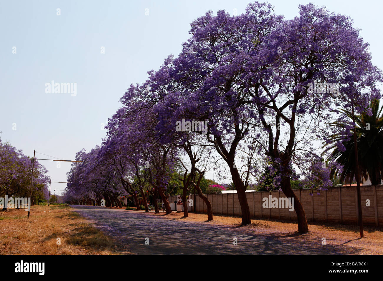Bulawayo city hi-res stock photography and images - Alamy